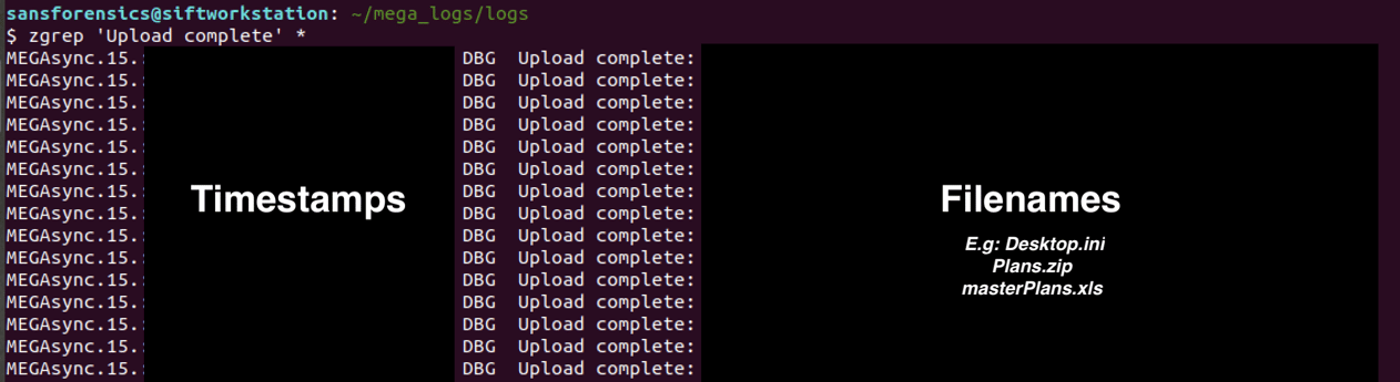 An Encounter with Ransomeware-as-a-Service: MEGAsync Analysis