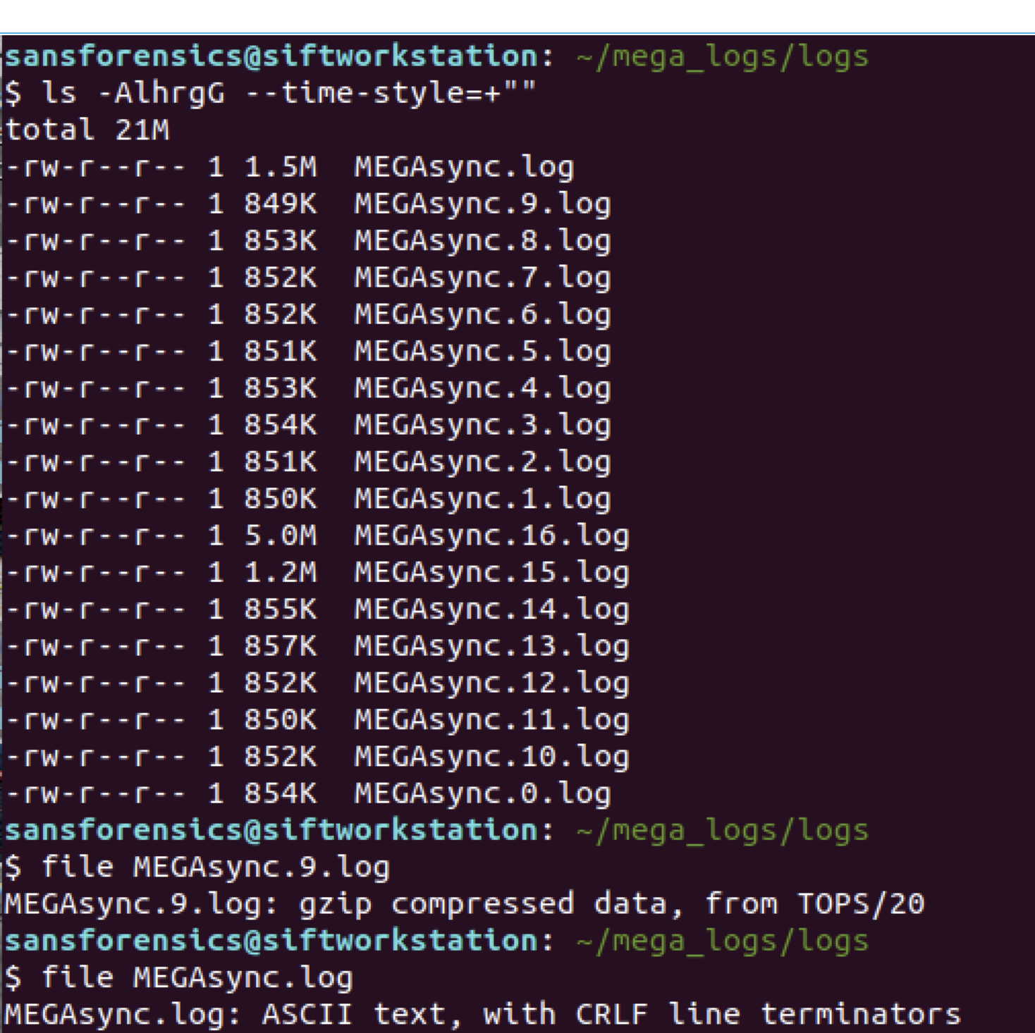 An Encounter with Ransomeware-as-a-Service: MEGAsync Analysis